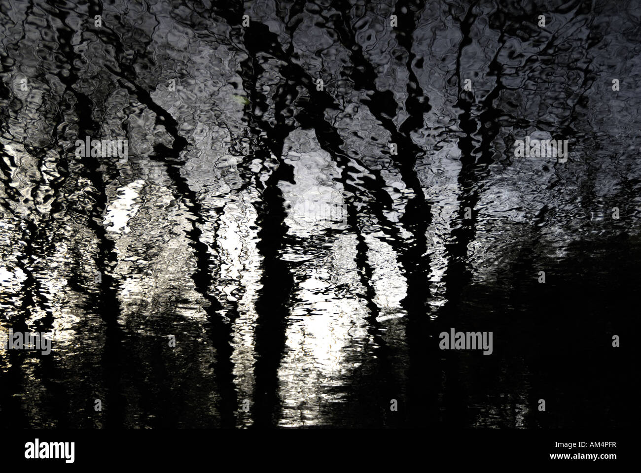 Winter trees reflected in river water Stock Photo - Alamy