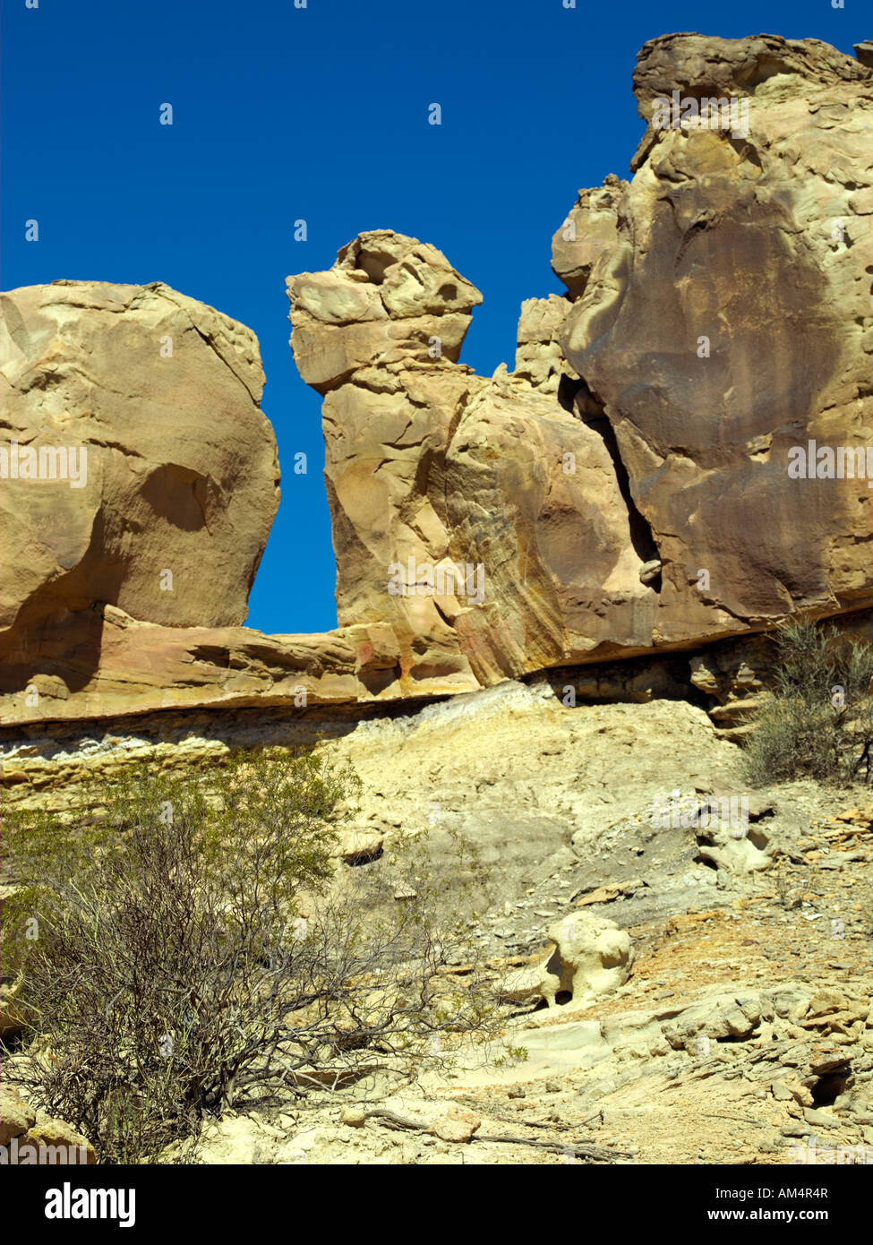 A strange rock formation called 'The Monkey' in Ischigualasto ...
