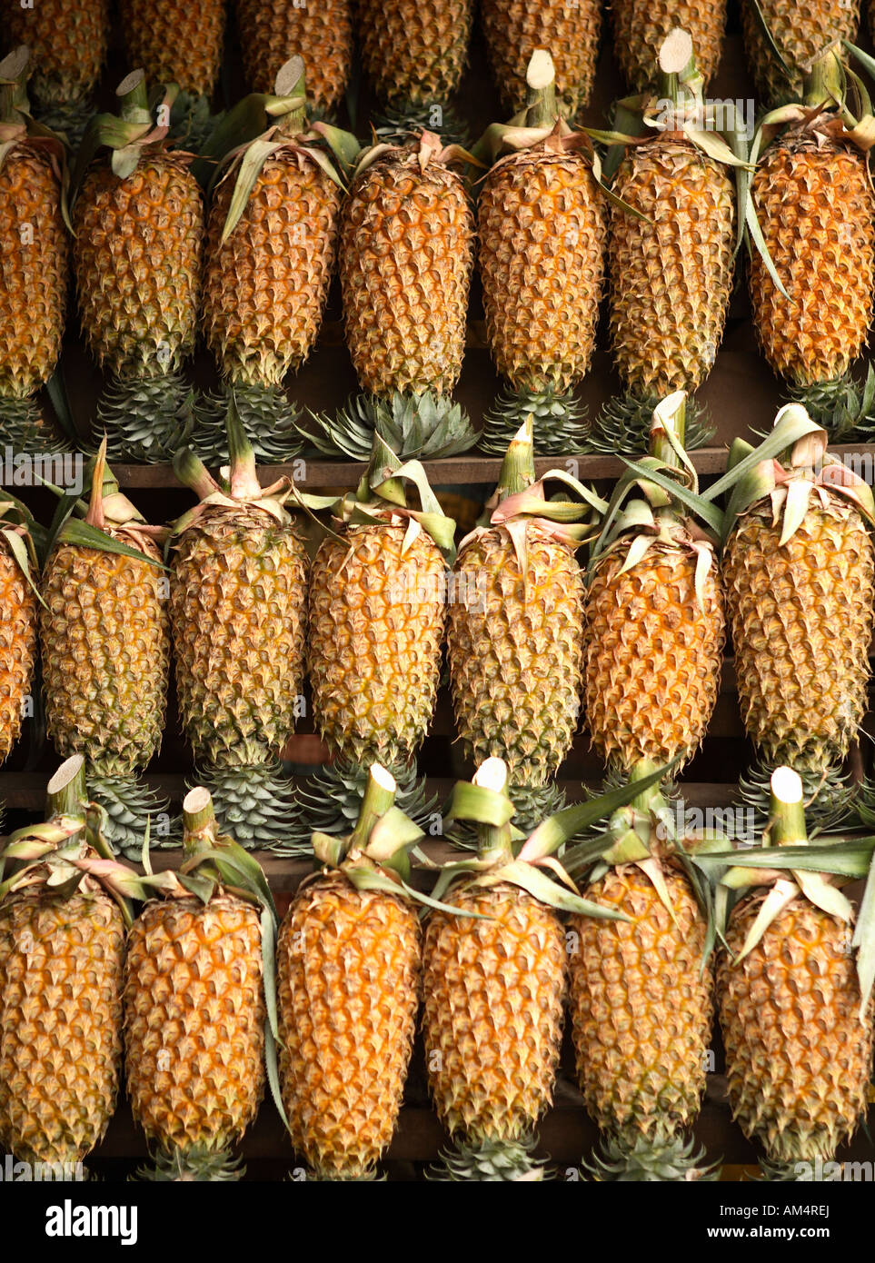 A display of pineapples at a roadside stall in Sri Lanka Stock Photo ...