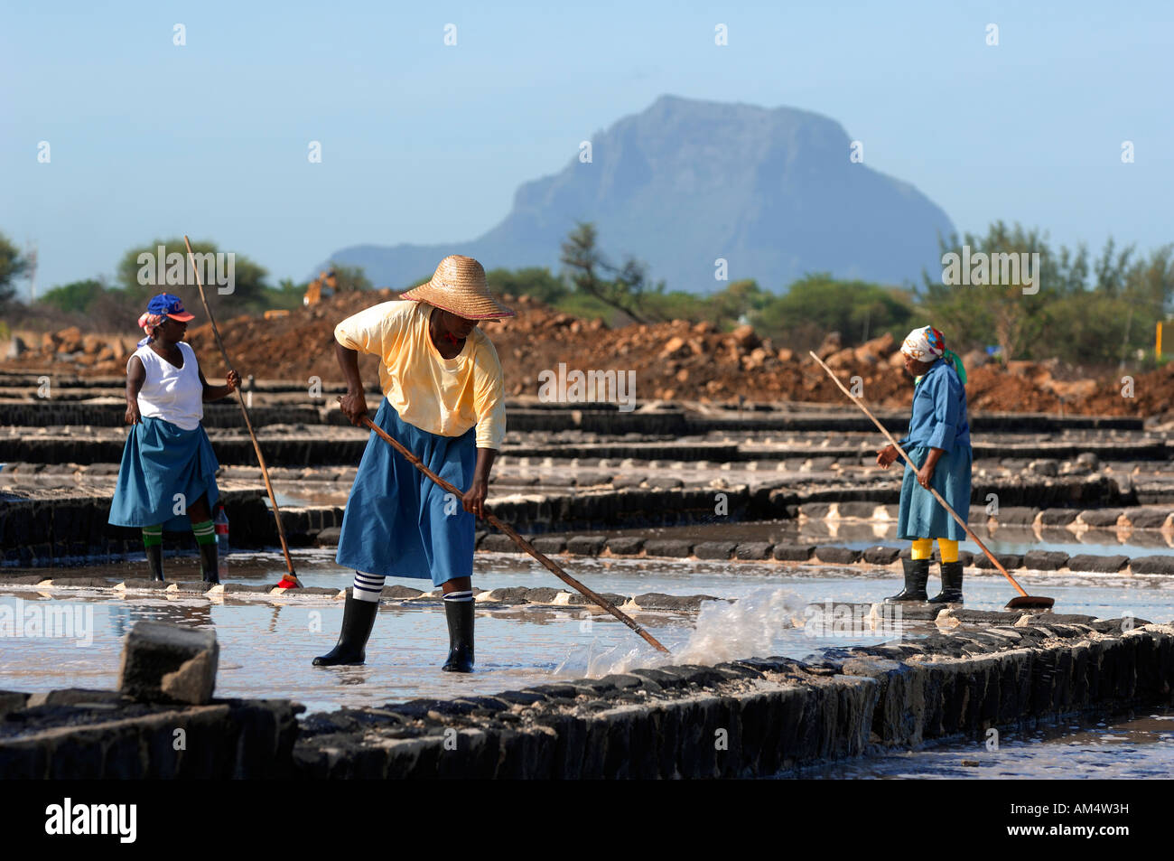 Mauritius island, West coast, salt collecting in the Tamarin salines ...