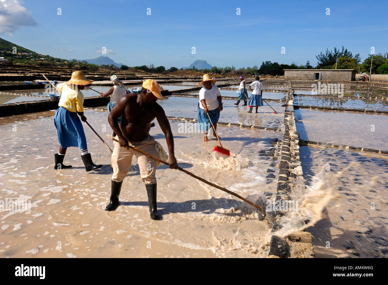 Mauritius island, West region, salt collecting in the Tamarin salines ...