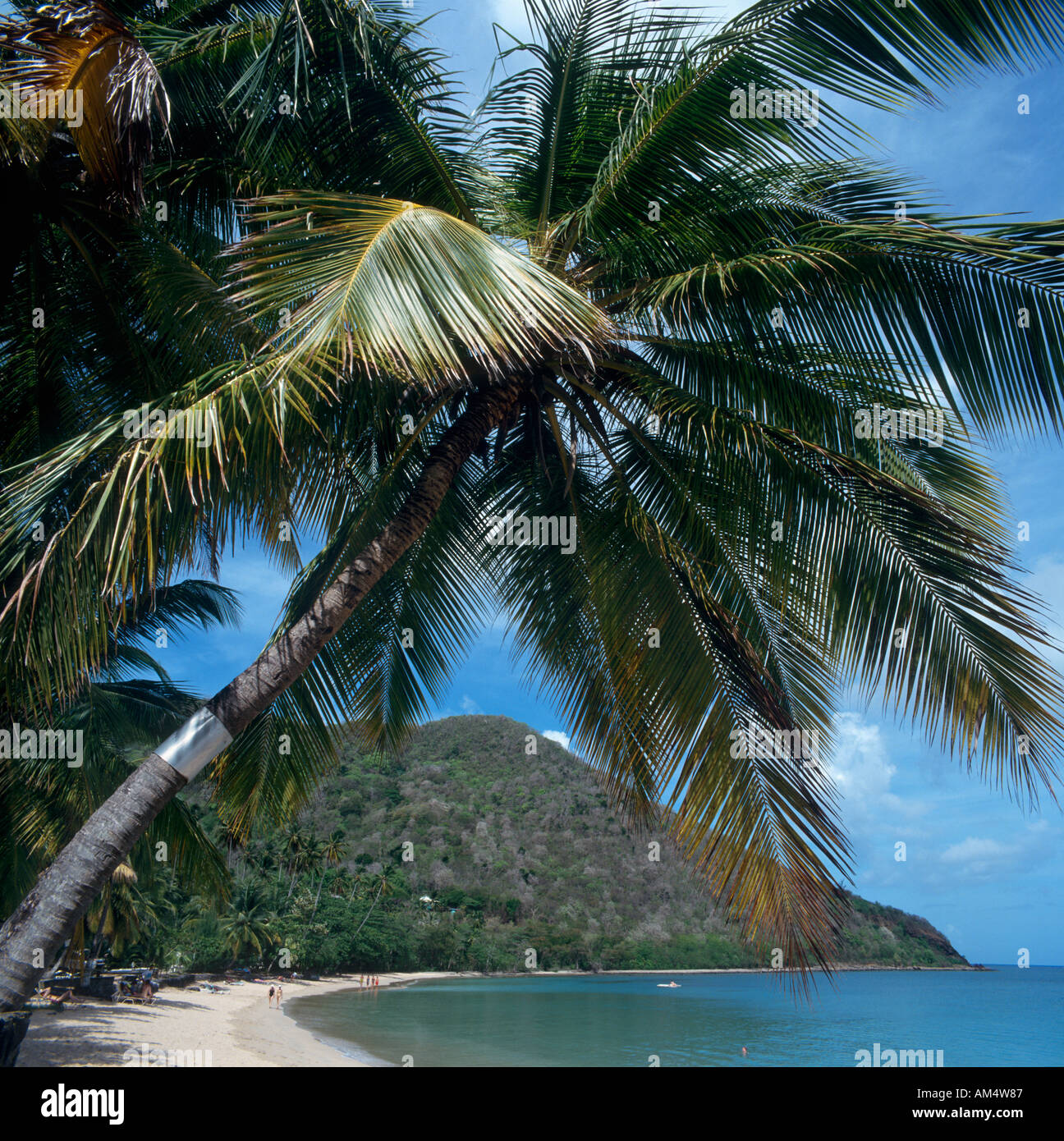 Reduit Beach, St Lucia, West Indies, Caribbean Stock Photo - Alamy