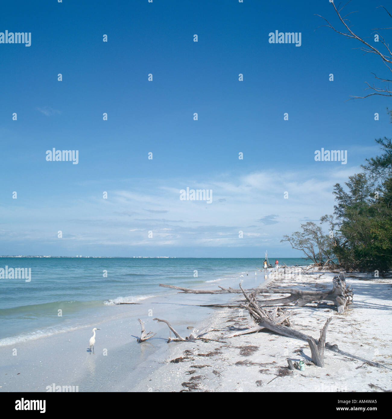 Lighthouse beach sanibel island gulf hi-res stock photography and ...