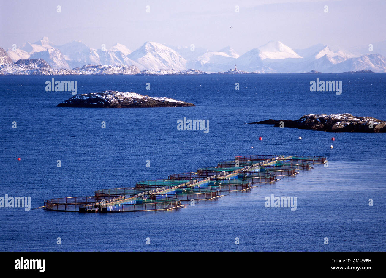 Norway Lofoten Islands. Salmon farm Norwegian mainland in background ...