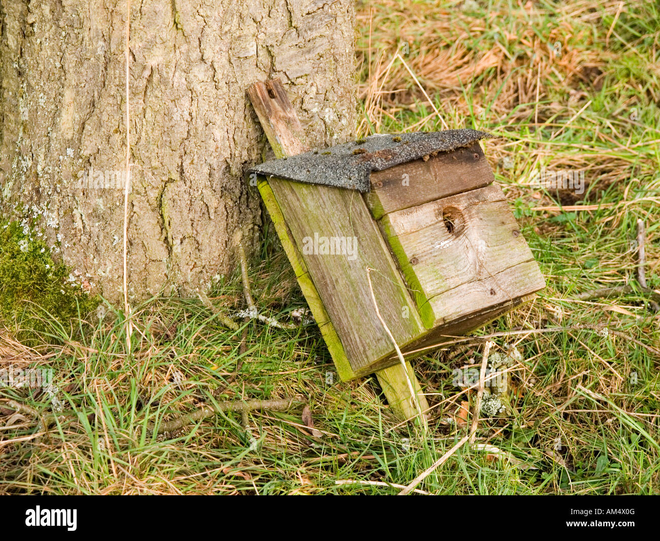 Box on ground hi-res stock photography and images - Alamy