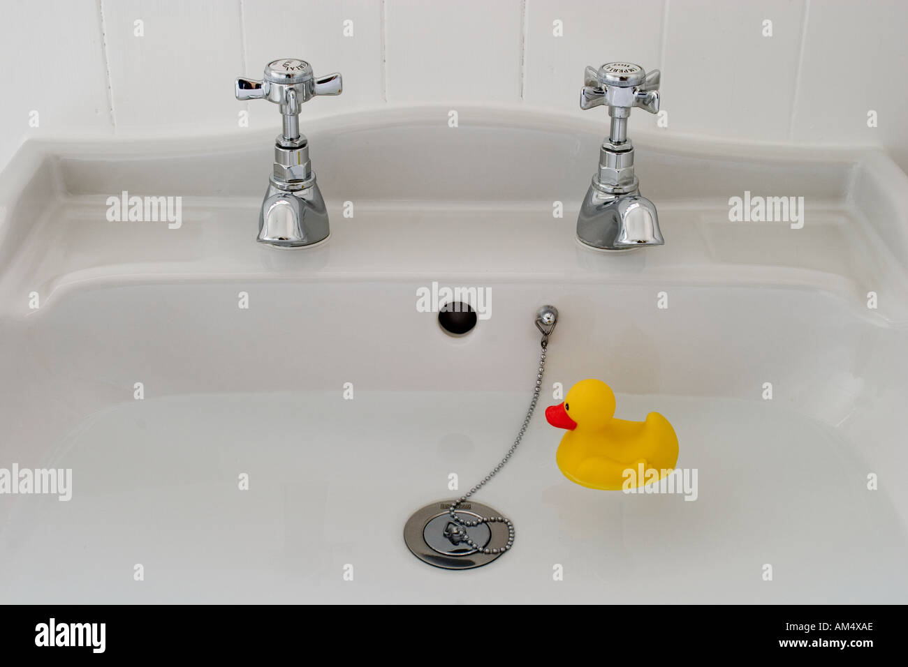 Washing baby duck hi-res stock photography and images - Alamy
