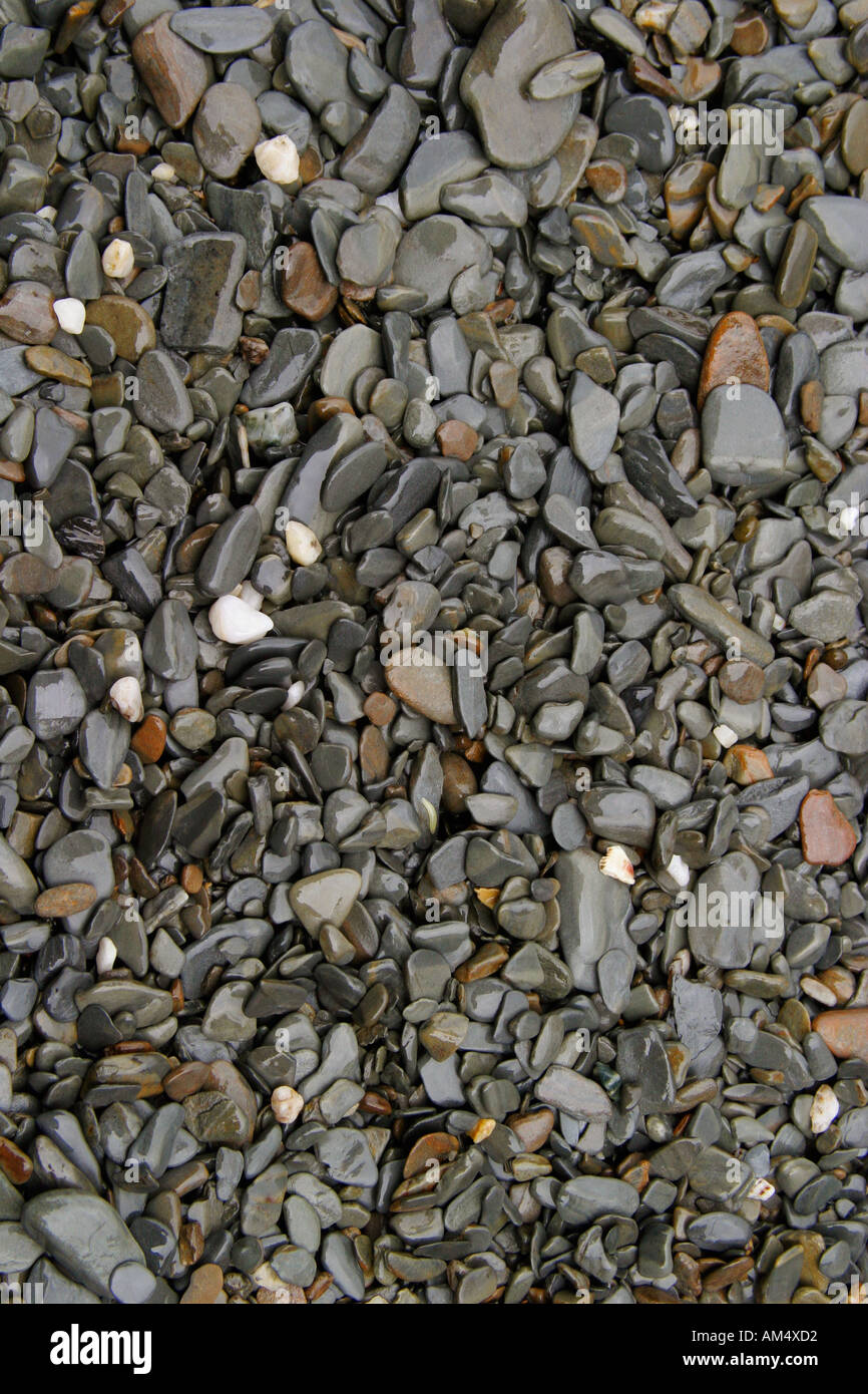 Pebbles on a Devon beach Stock Photo - Alamy