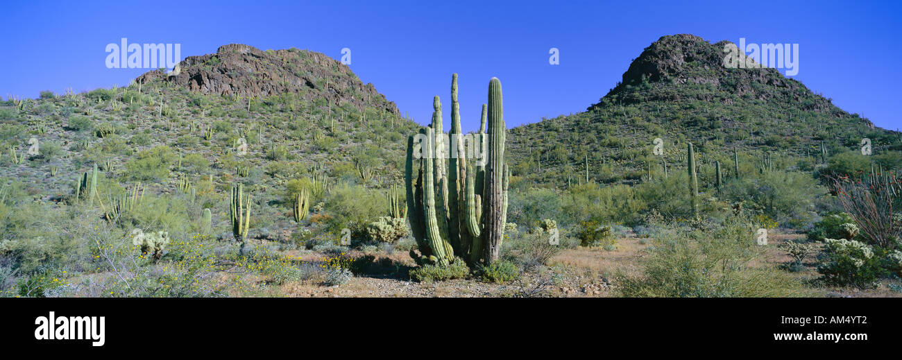 Panoramic view of springtime in Picachio Peak State Park north of ...