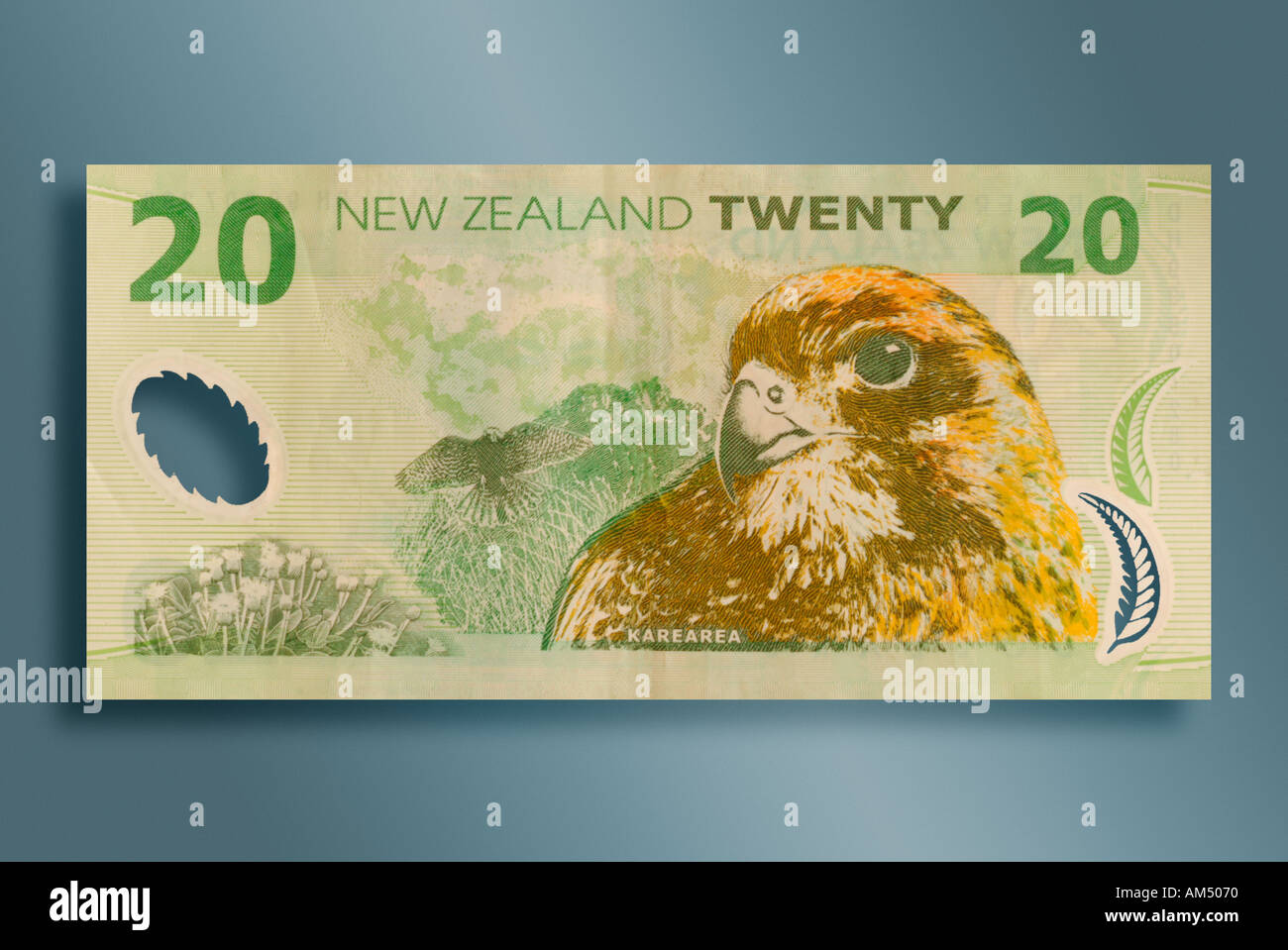 20 dollar bill from New Zealand Stock Photo - Alamy