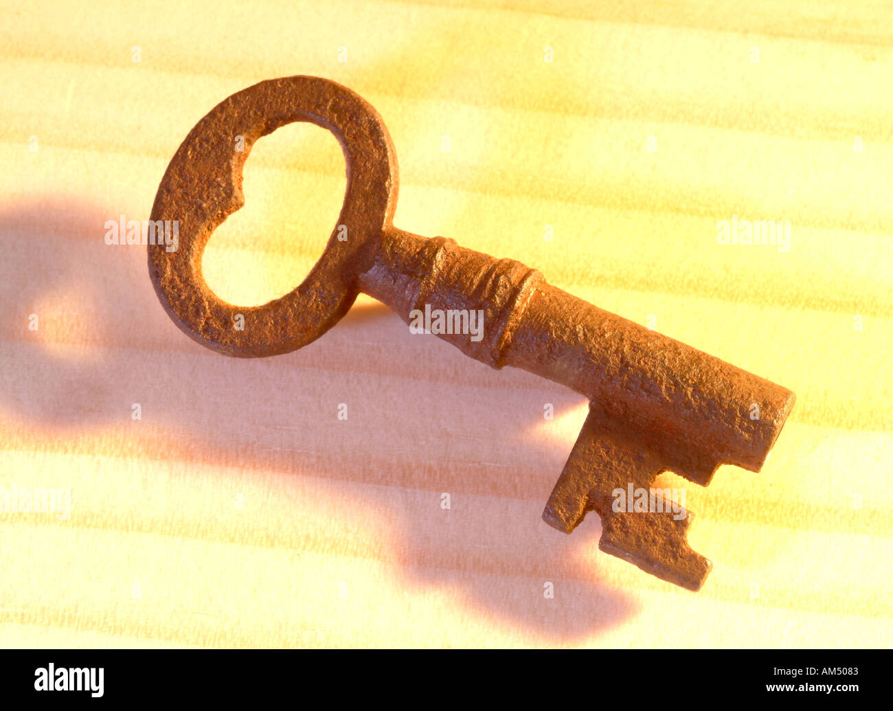 Antique skeleton hi-res stock photography and images - Alamy