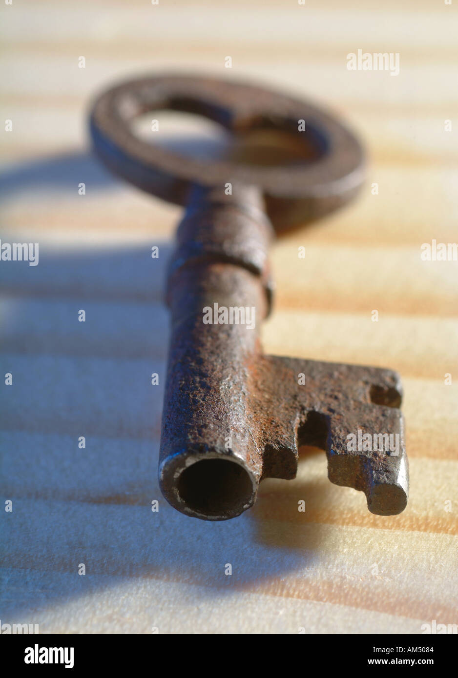 Metal skeleton hi-res stock photography and images - Alamy