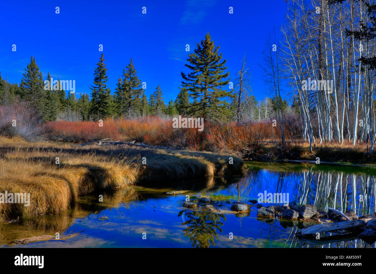 Alpine lake scene on Markagunt Plateau Stock Photo - Alamy