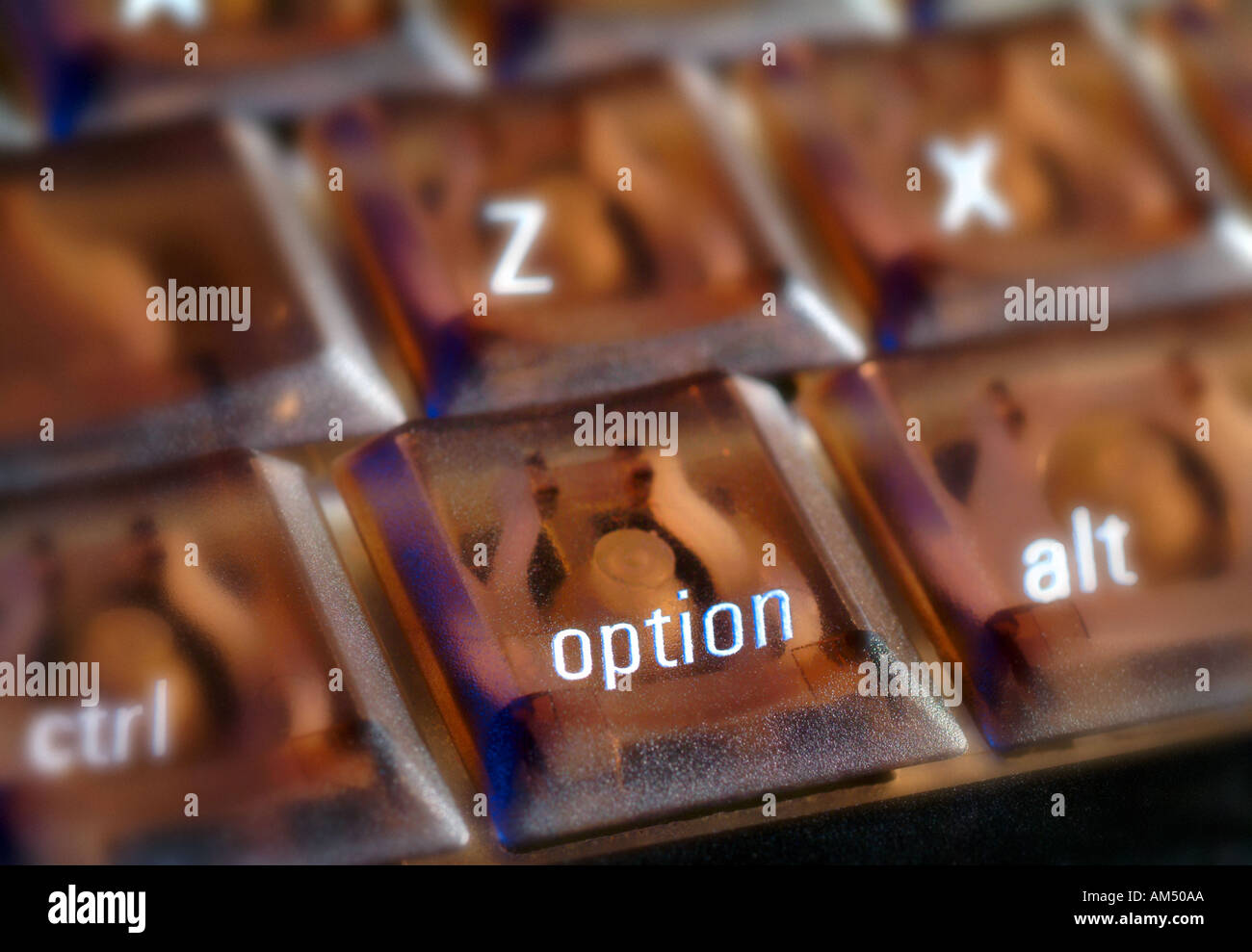 The option key on a computer keyboard Stock Photo - Alamy