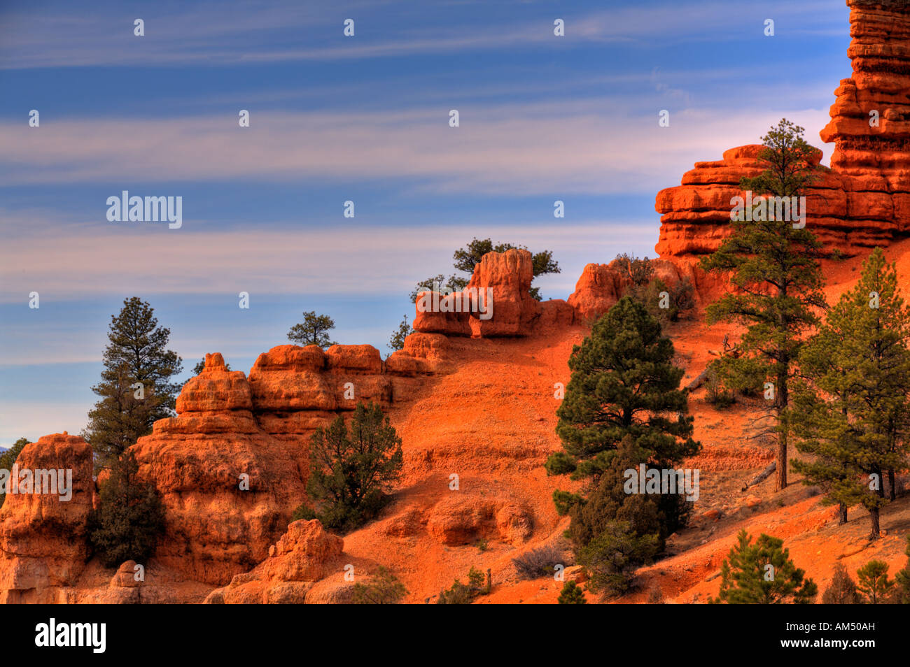 Red canyon state park in Utah Stock Photo - Alamy