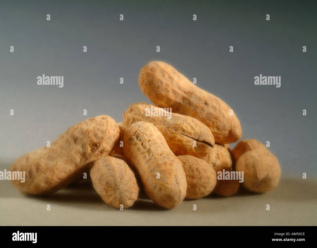 Pay Peanuts High Resolution Stock Photography and Images - Alamy