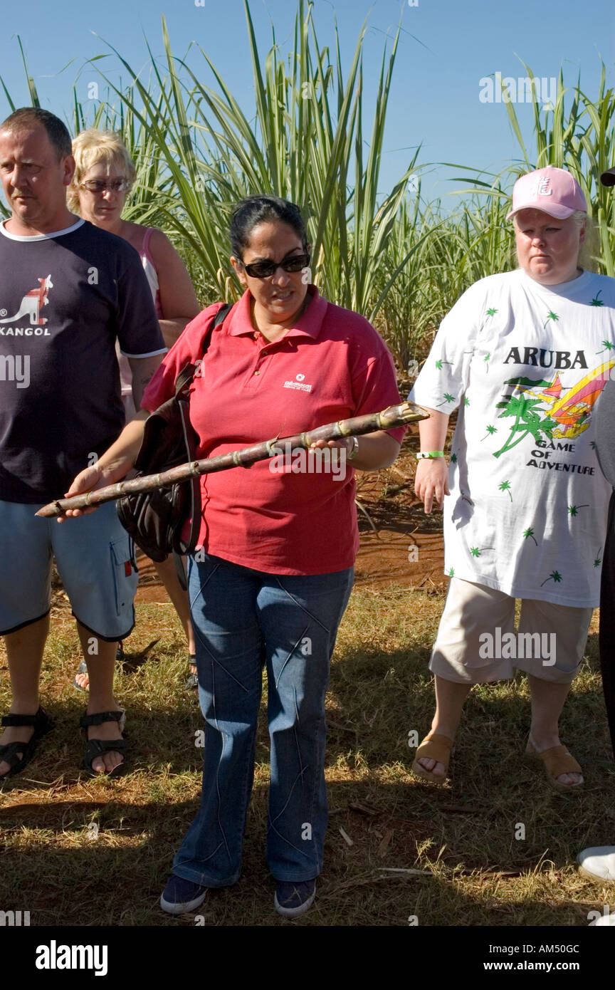 Cuban Guide explaining how to cut Sugar Cane, Central Australia Stock ...