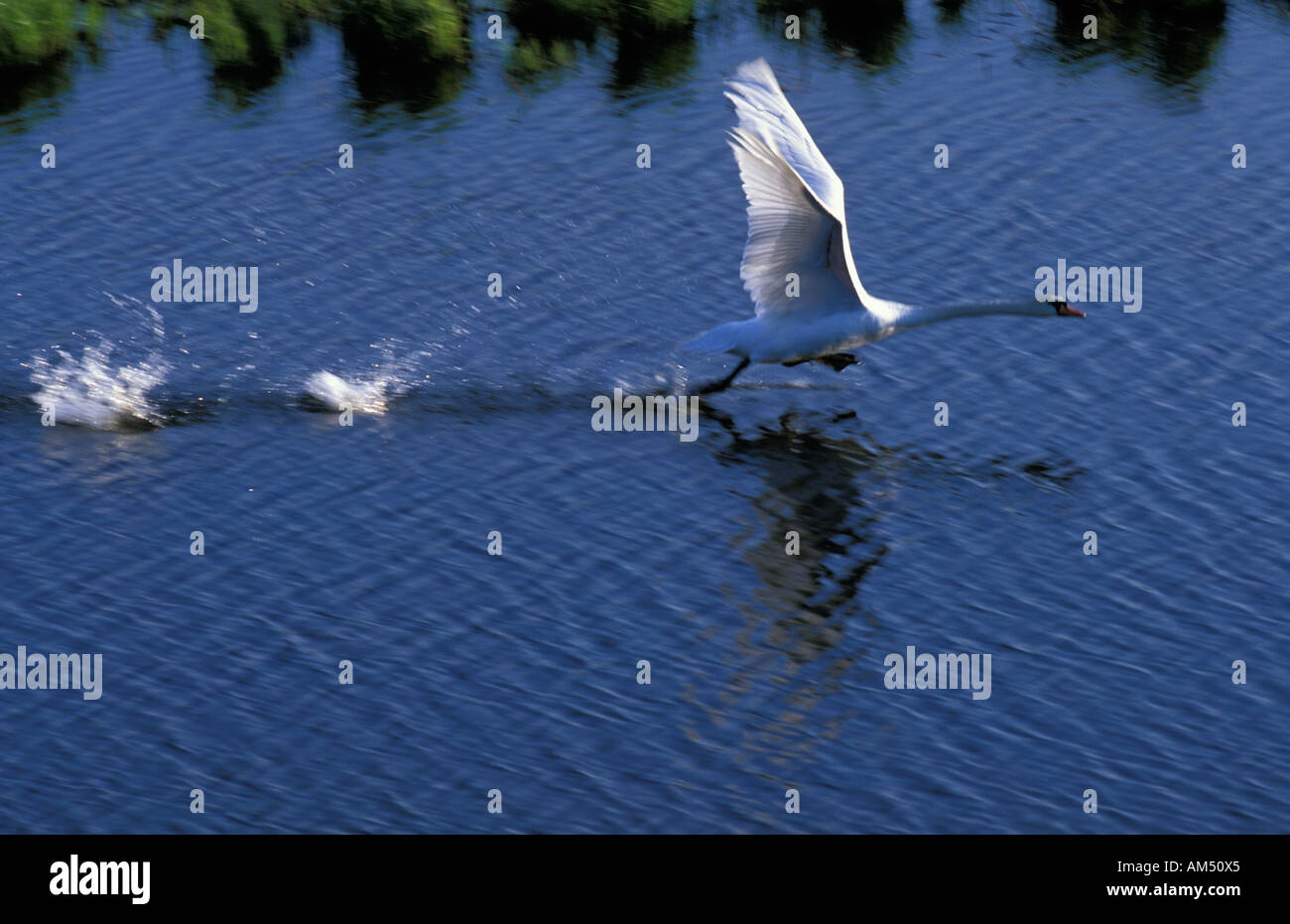 Taking issue hi-res stock photography and images - Alamy