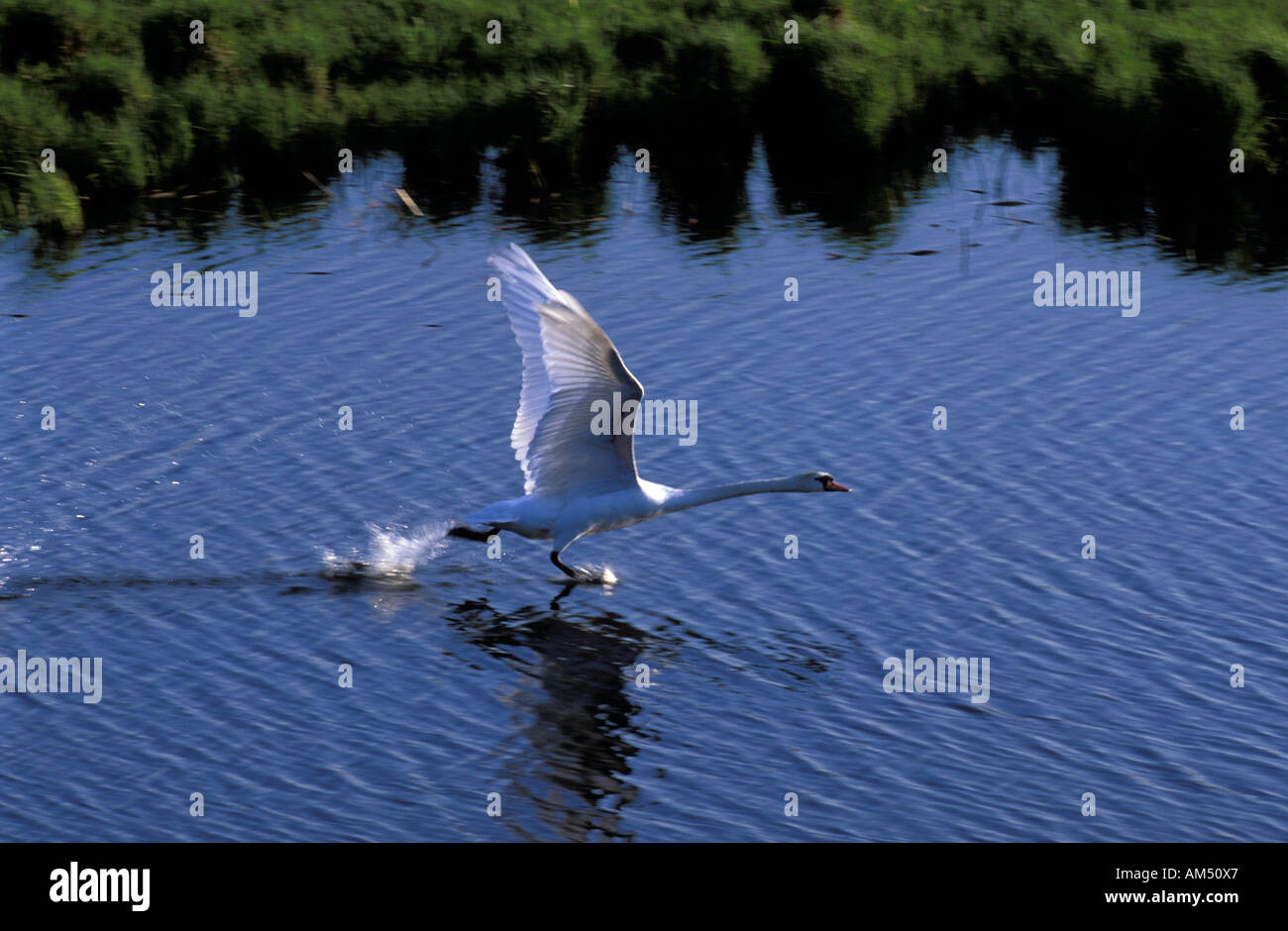 Taking issue hi-res stock photography and images - Alamy