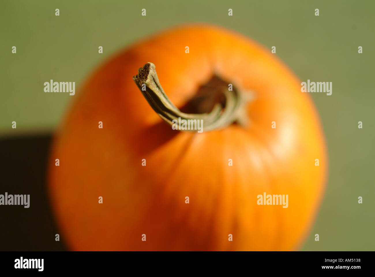 Curled stem hi-res stock photography and images - Alamy