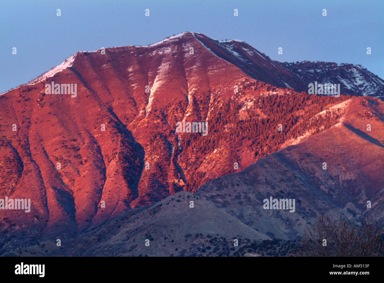 Purple majesty hi-res stock photography and images - Alamy