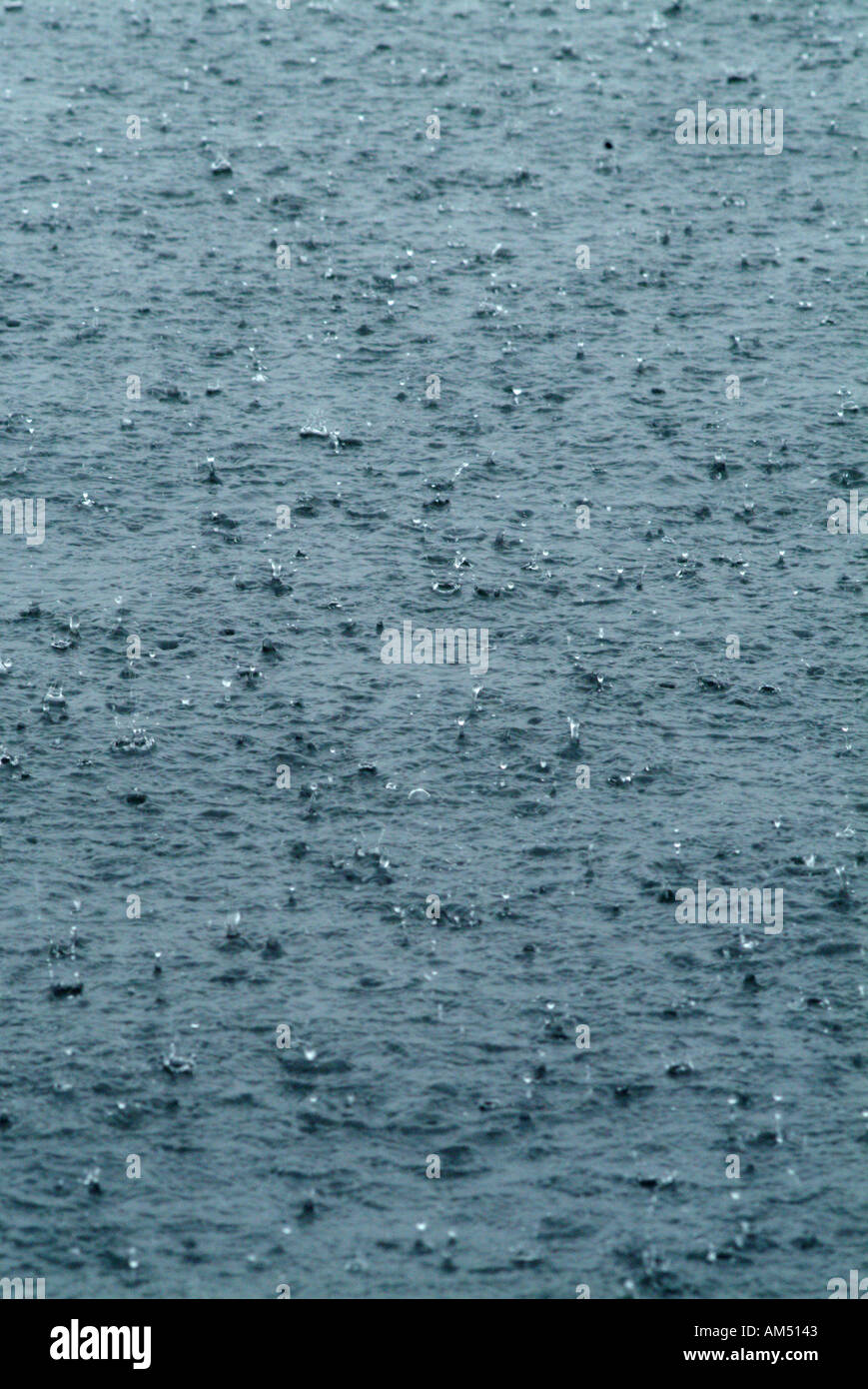 heavy rain drops falling on a lake Stock Photo - Alamy