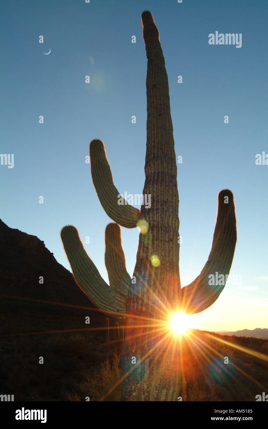 Sonoran desert sunset moon hi-res stock photography and images - Alamy