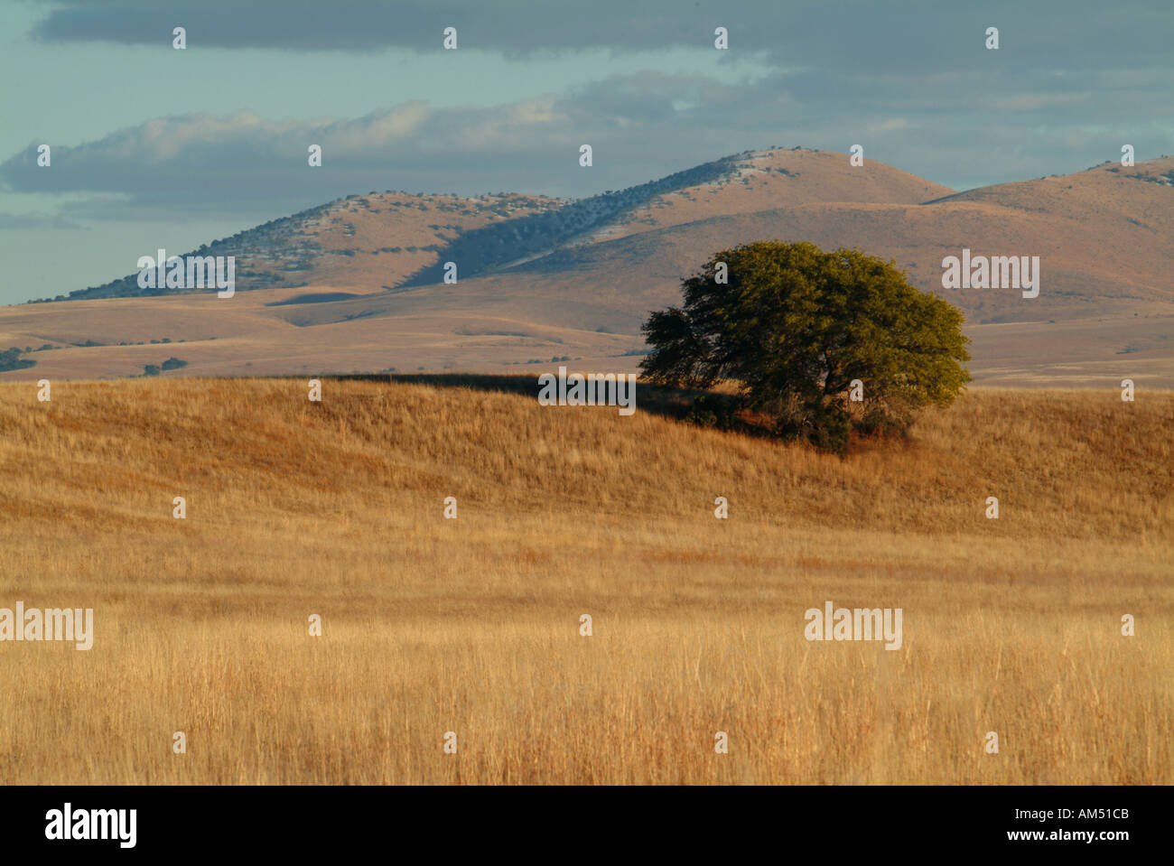 Arizona plains hi-res stock photography and images - Alamy