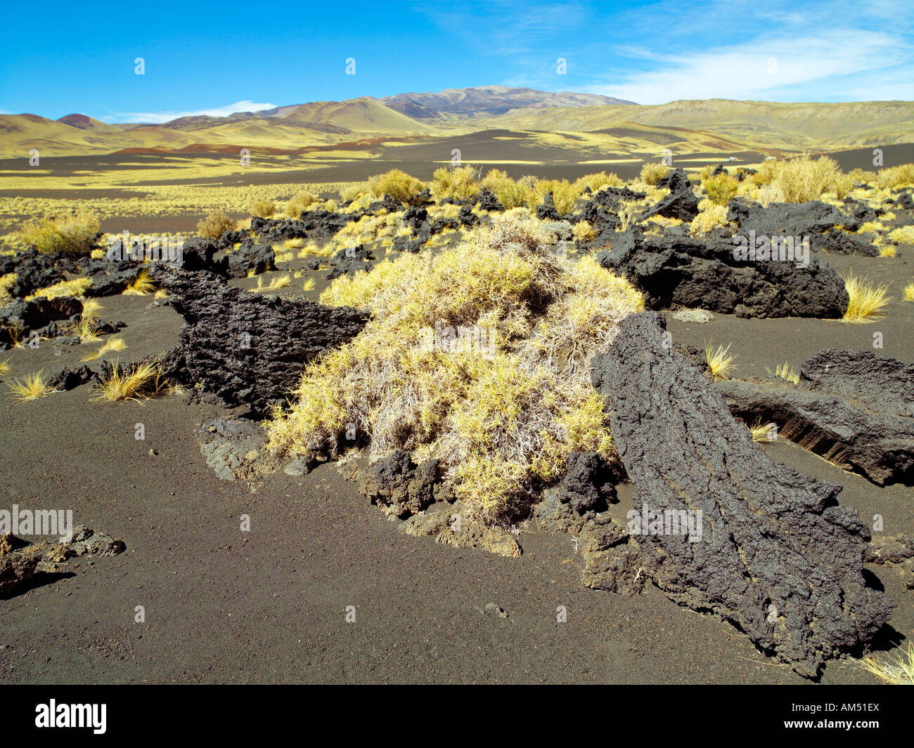 The volcanic ash fields of Payunia Provincial Reserve in the Malargue ...