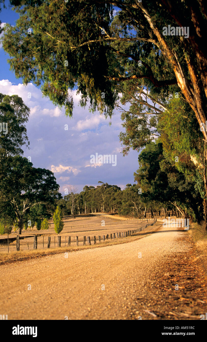 Goldfields track hi-res stock photography and images - Alamy