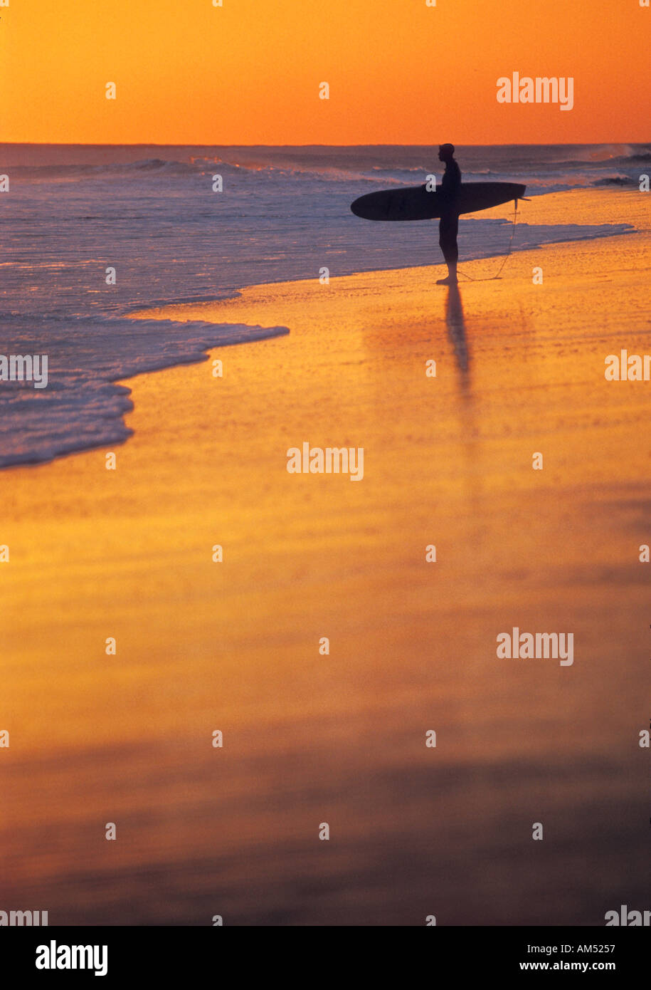 A surfer at sunset looks out to survey the waves before paddling out ...