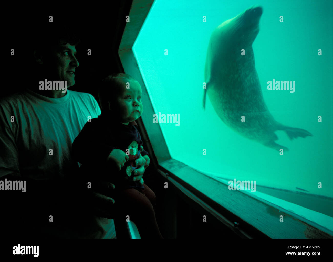 Ecomare Texel visitors looking at seals in the pool of the conservation ...