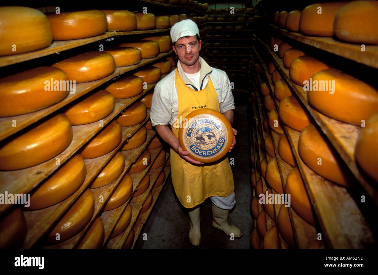 Texel small cheese factory in a farm Stock Photo - Alamy