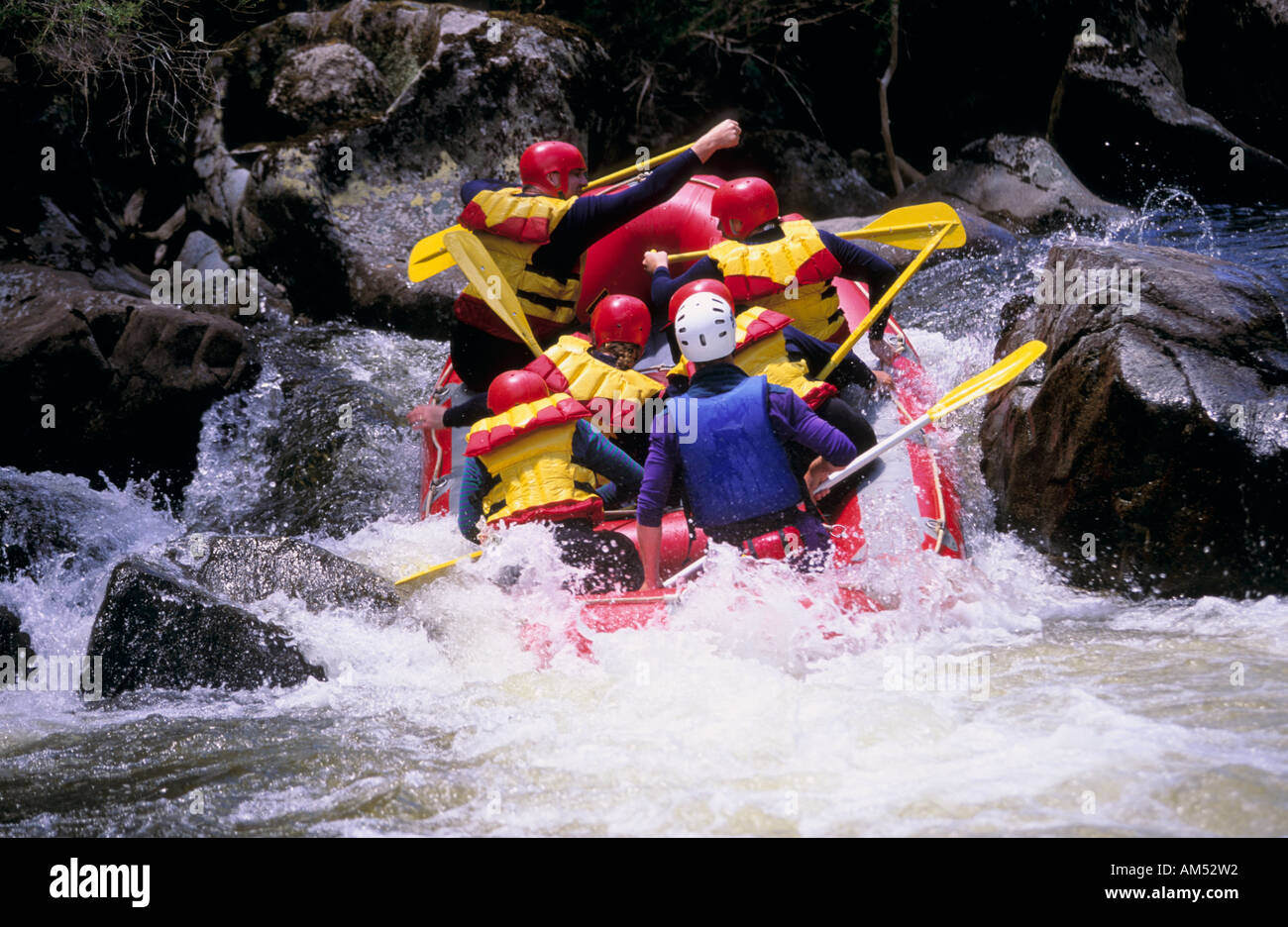 White water rafting Murray Gates Upper Murray River Snowy Mountains New ...
