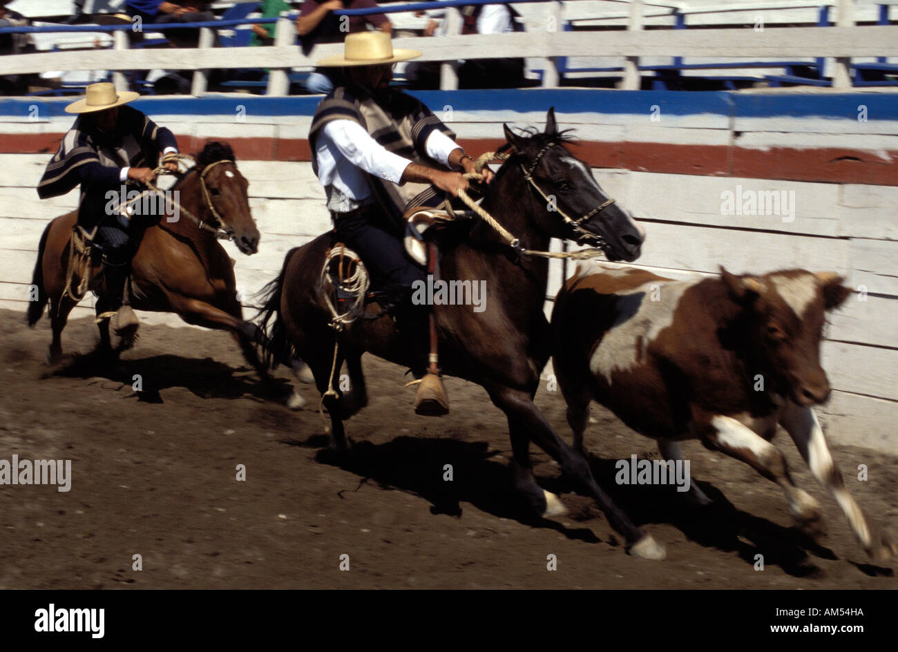 Central american cowboys hi-res stock photography and images - Alamy