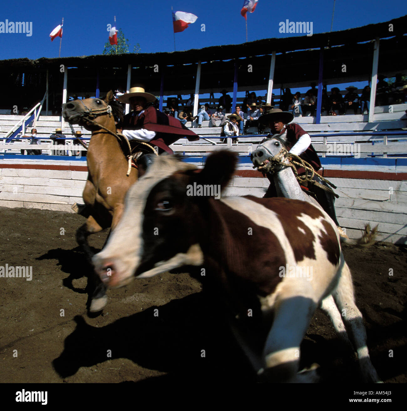 Central american cowboys hi-res stock photography and images - Alamy