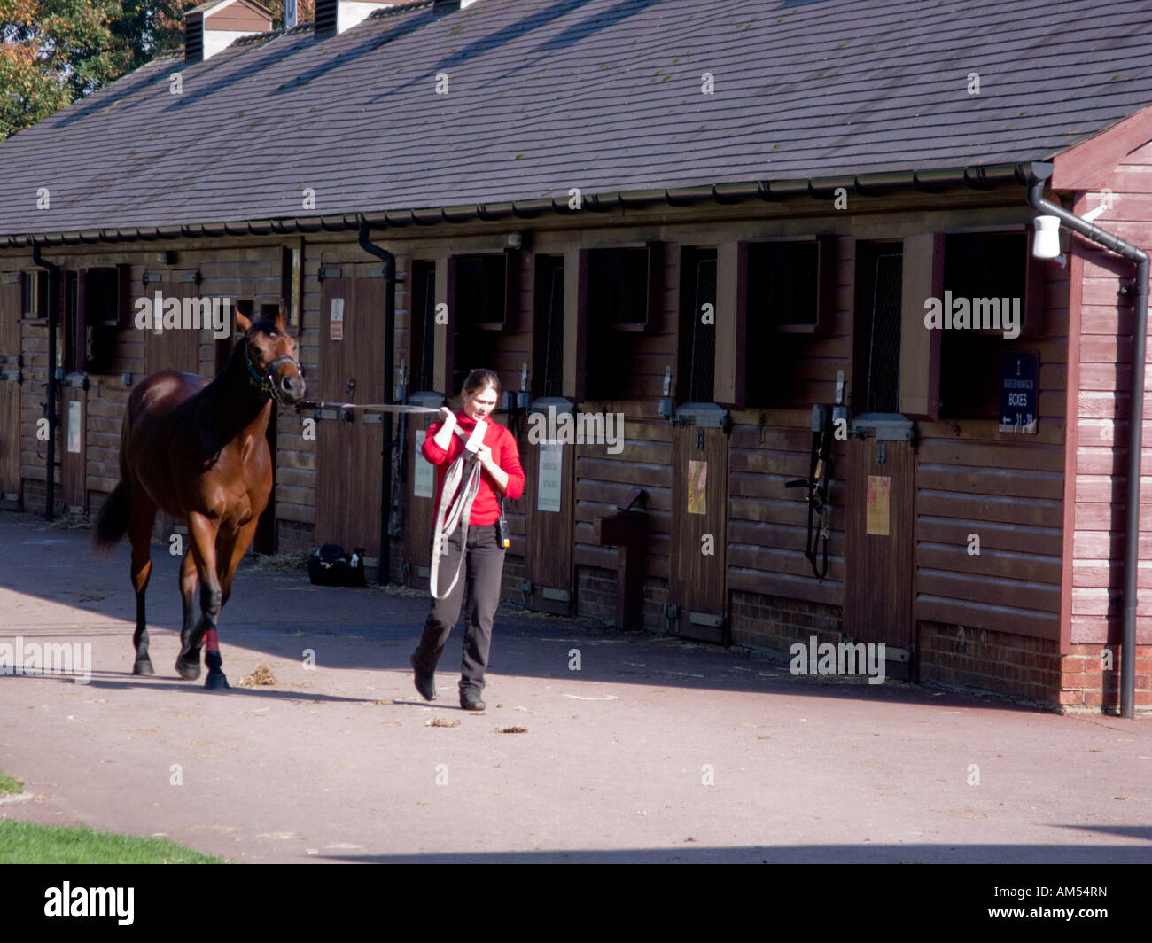 Race horse stables uk hi-res stock photography and images - Alamy