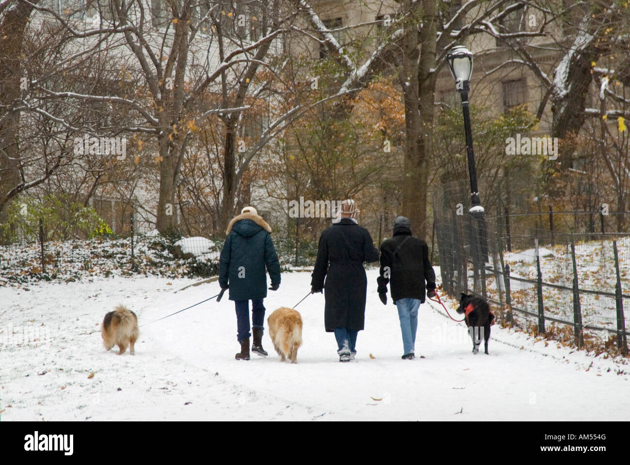 Three friends walking their dogs in Central Park NY Stock Photo - Alamy