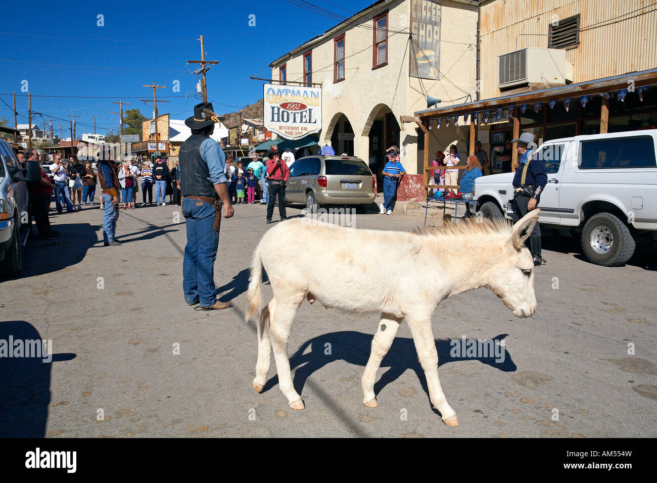 United States, Arizona, Route 66, Oatman, tradition lets donkeys freely ...