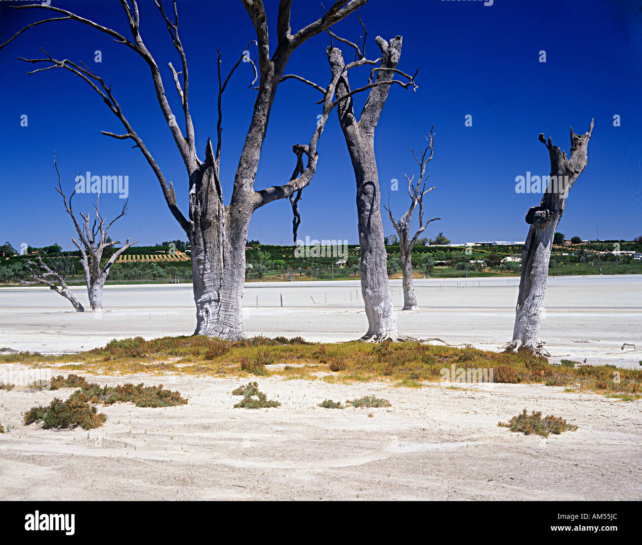 Salinity south australia hi-res stock photography and images - Alamy