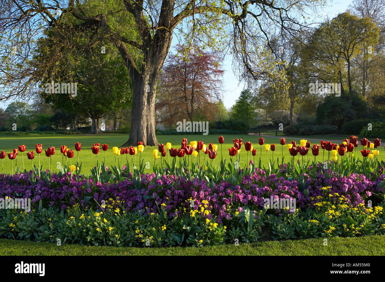 spring bloom in Hyde Park London England UK NR Stock Photo - Alamy