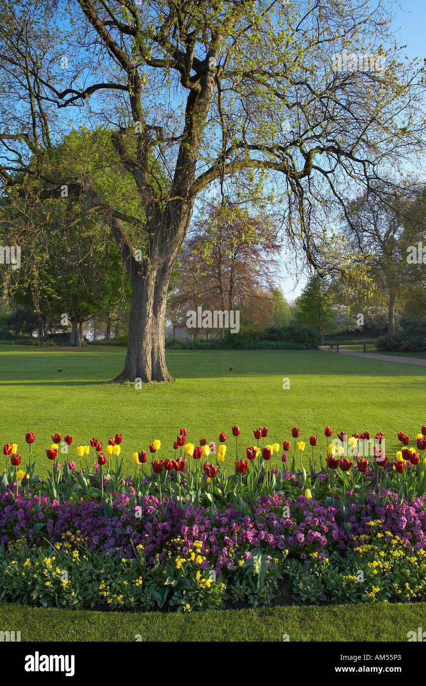 Empty park london hi-res stock photography and images - Alamy