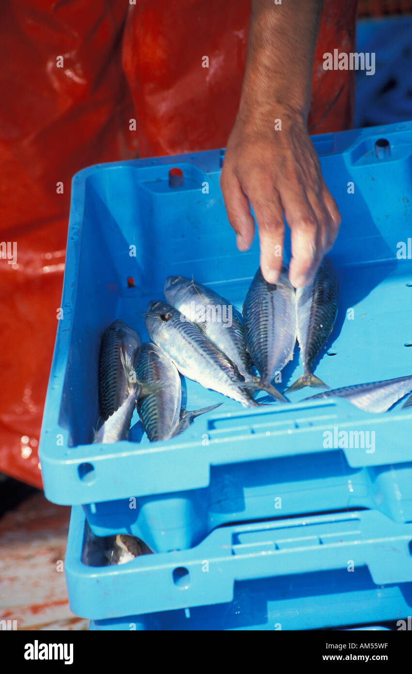 Loading and unloading ships hi-res stock photography and images - Alamy