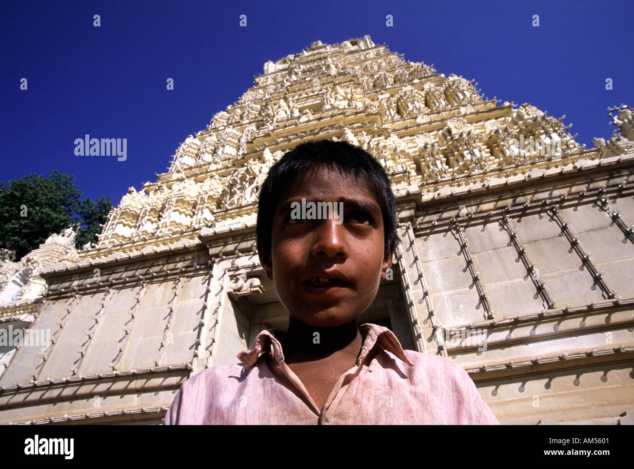 Boy in front of a Hindu Temple in the grounds of the Maharajas Palace ...