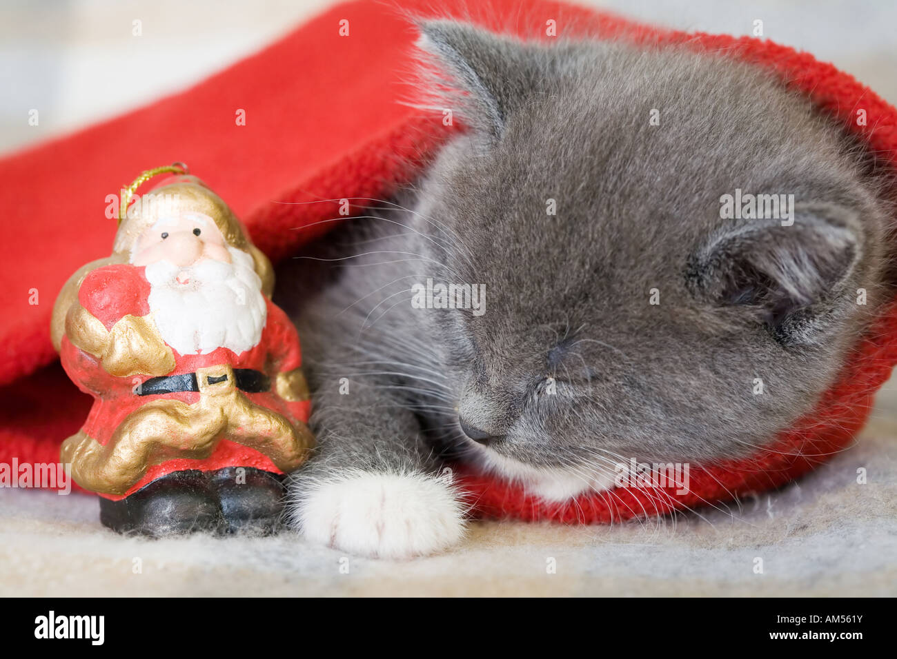 Adorable red santa claus hi-res stock photography and images - Alamy