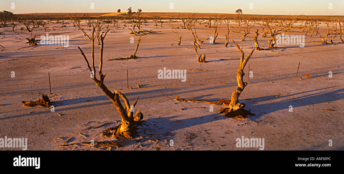 Creeping disaster hi-res stock photography and images - Alamy