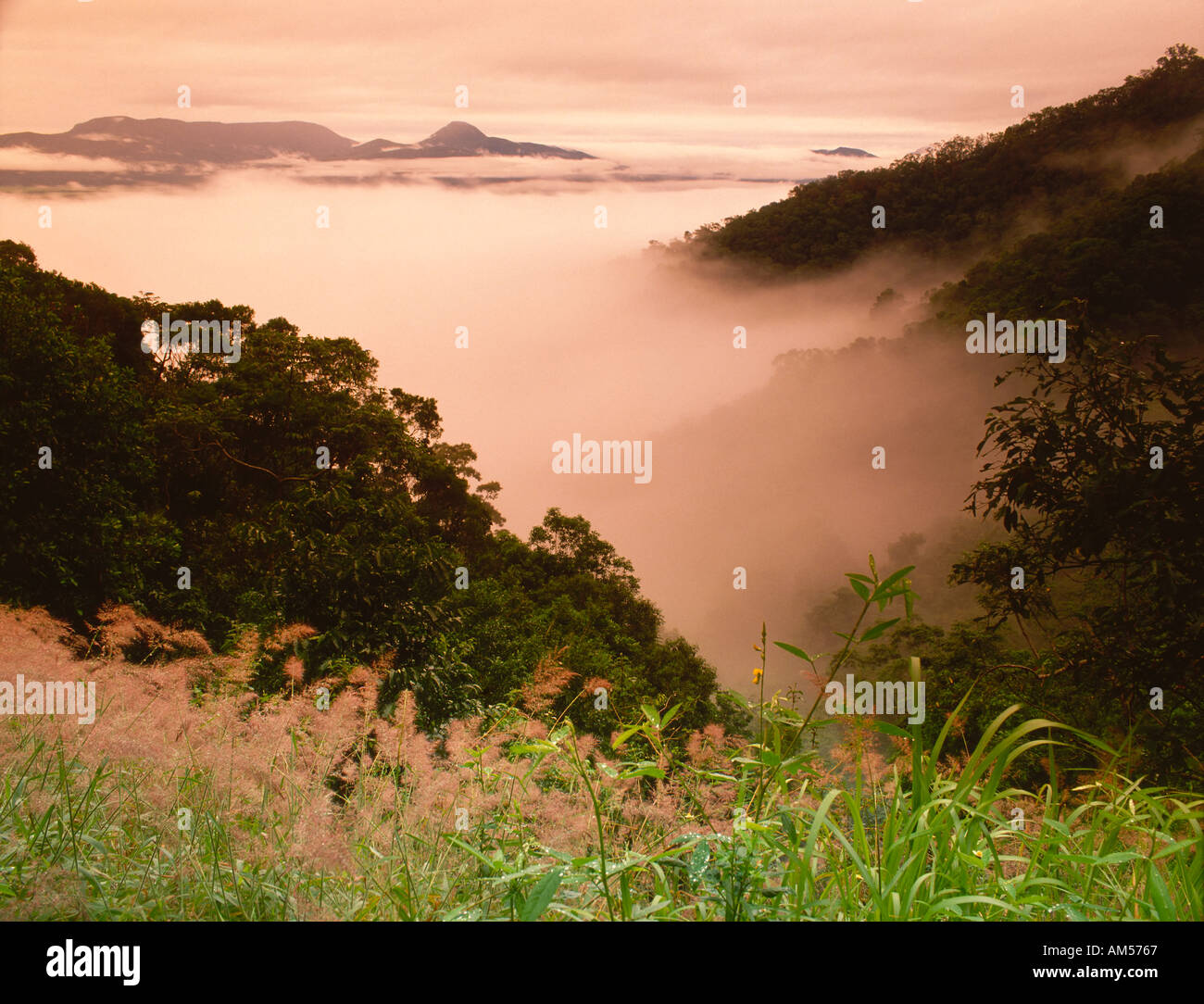 Sunrise Mist Whitfield Range and Rainforest Cairns Queensland Australia ...