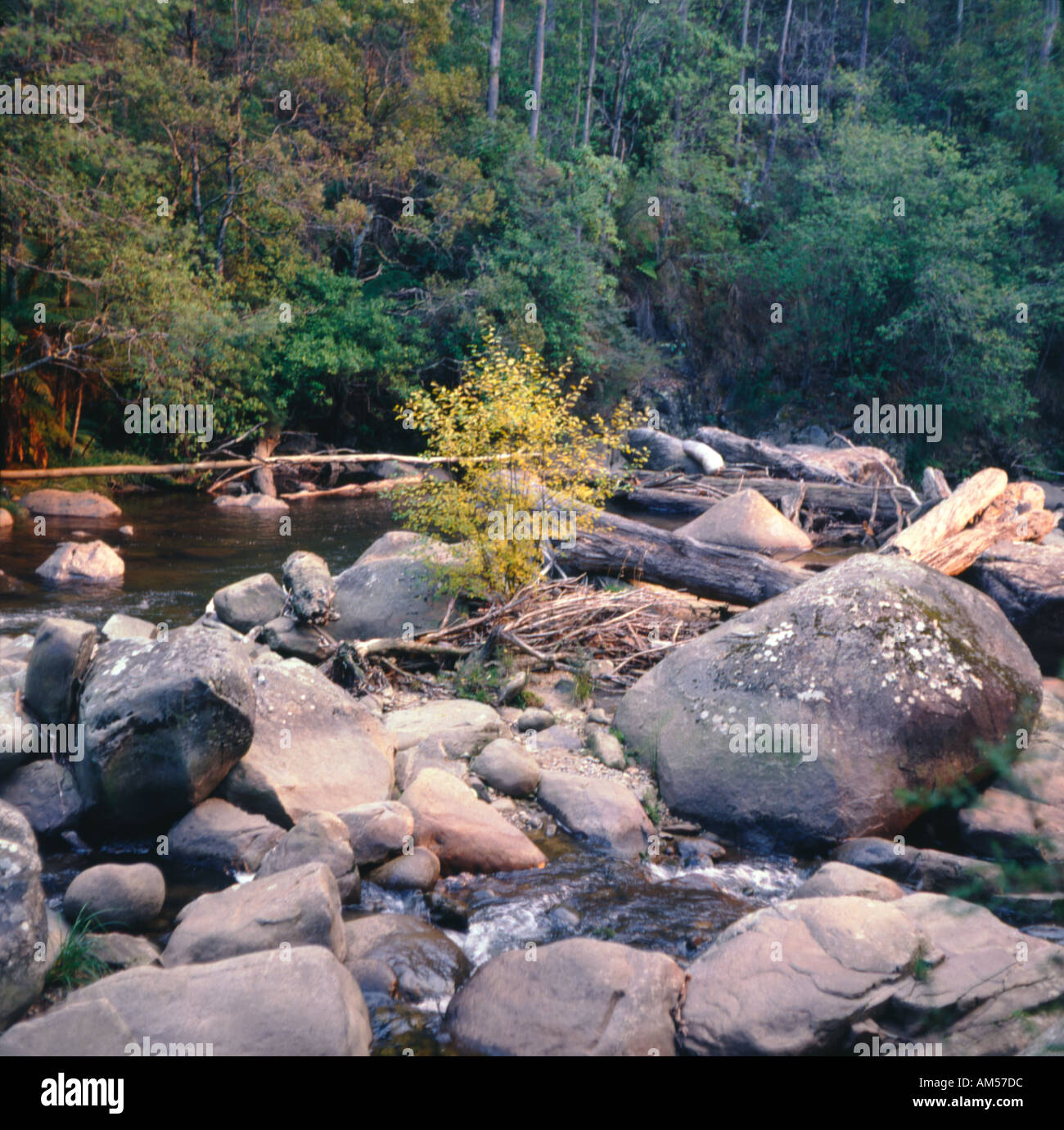 Kiewa australia hi-res stock photography and images - Alamy