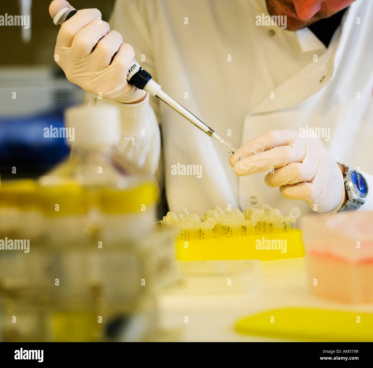 Laboratory work clinical trials research testing. No release required ...