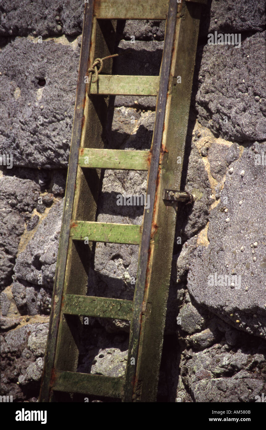 Ladder attached to wall Stock Photo - Alamy