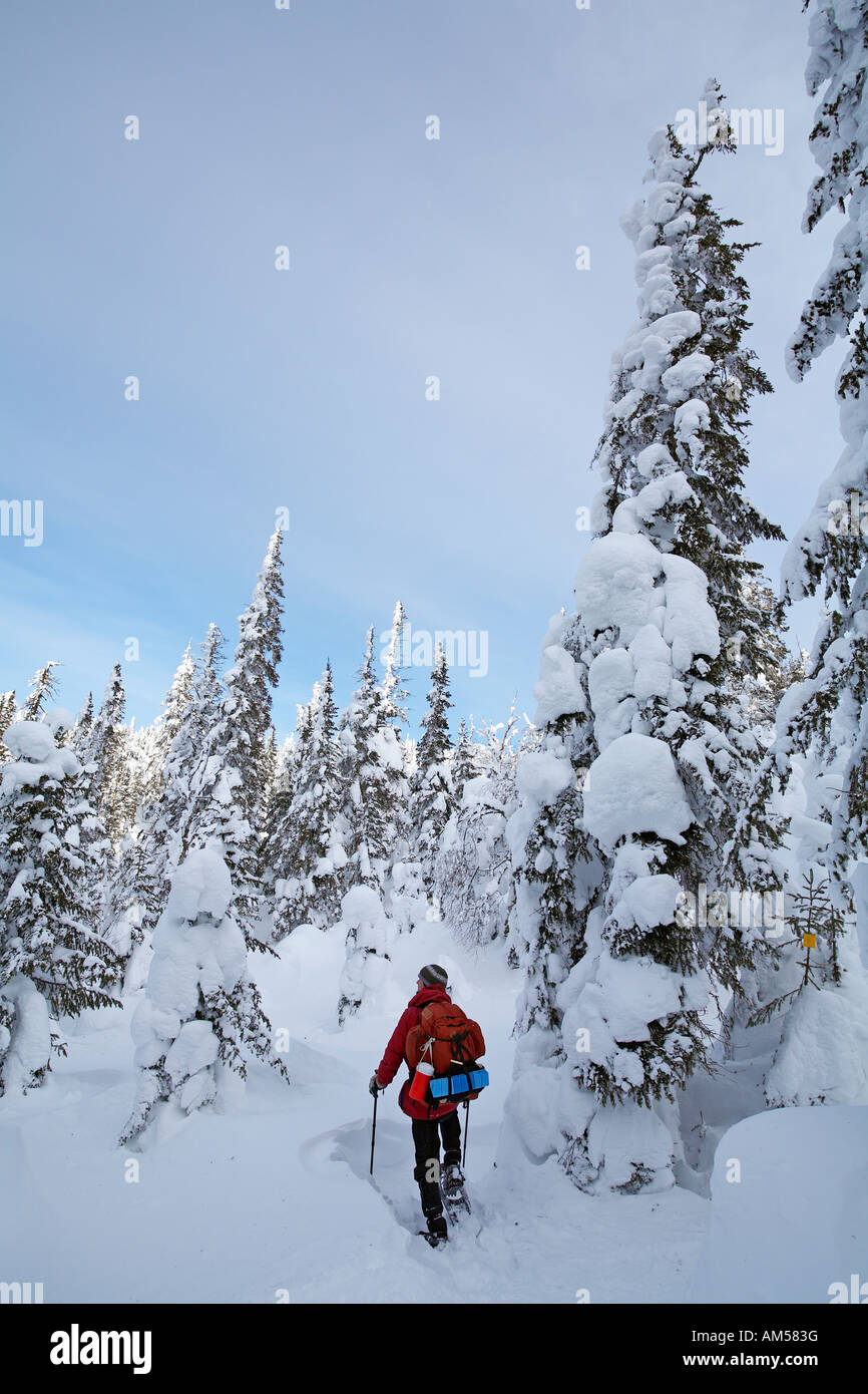 Monts Valin National Park High Resolution Stock Photography and Images ...
